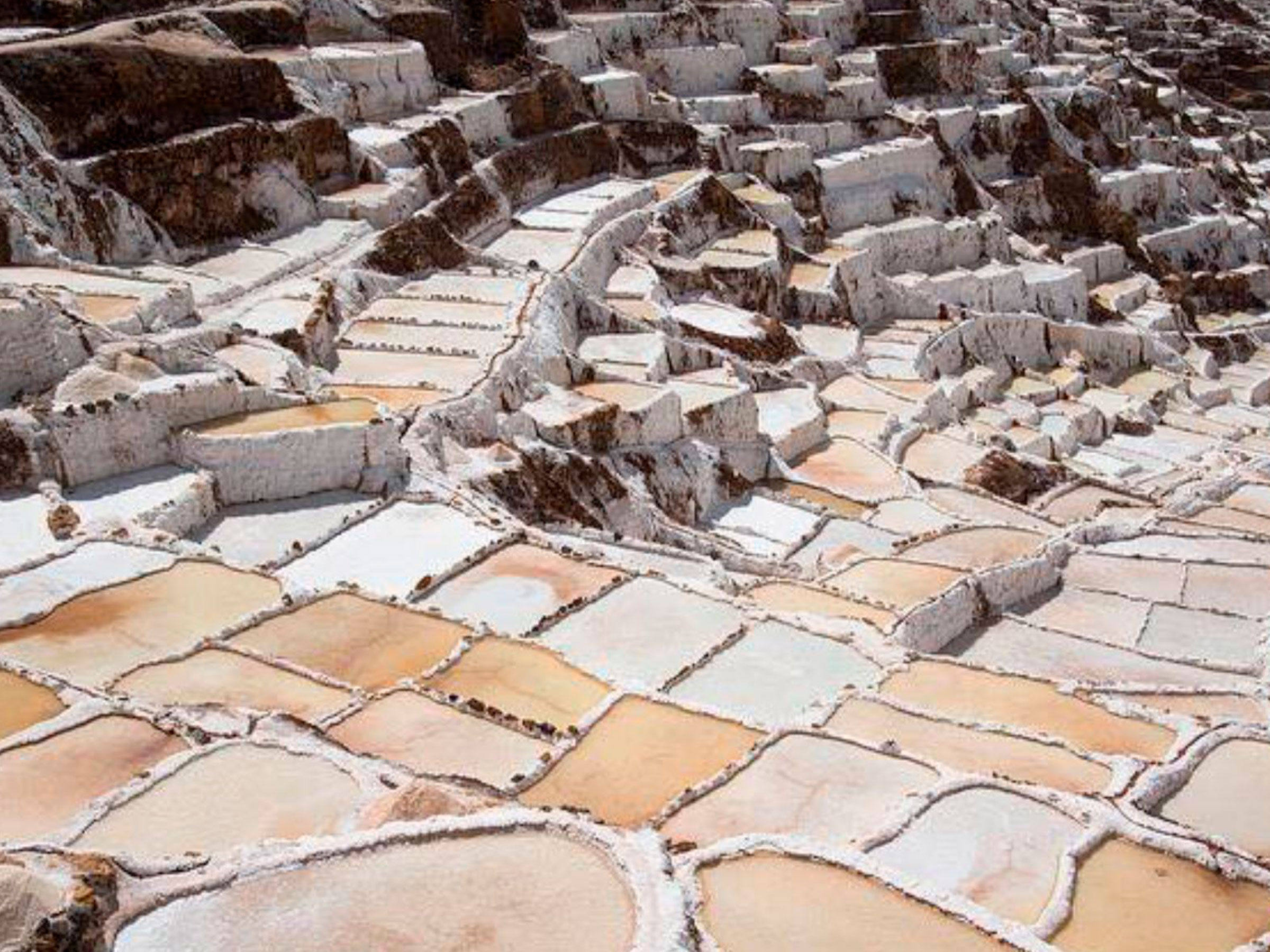 Maras Salt Mines Moray Cusco Perú - Trip Inka Town